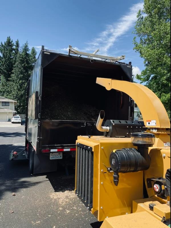 Services - Nomad Tree Services